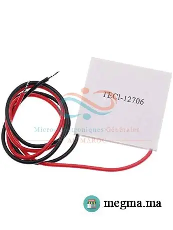 TEC1-12706 Module Peltier Refroidisseur Thermoélectrique | MEGMa